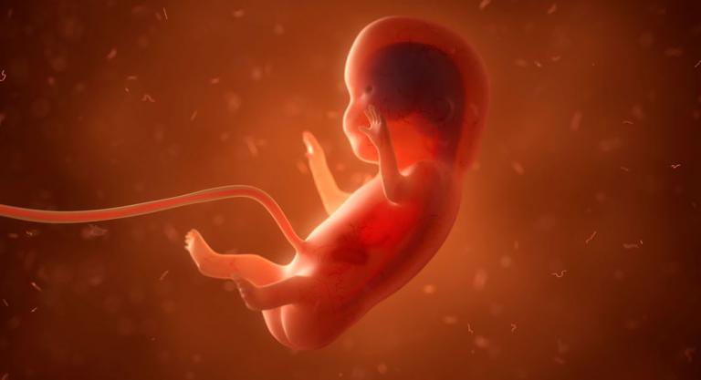 ¿Por qué se produce las malformaciones congénitas? - Belleza y Alma